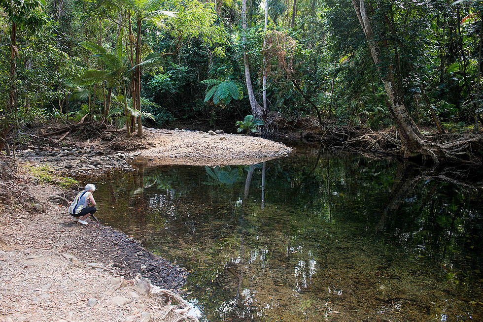 3 Day Reef, Rainforest & Outback Tour - Billy Tea Safaris