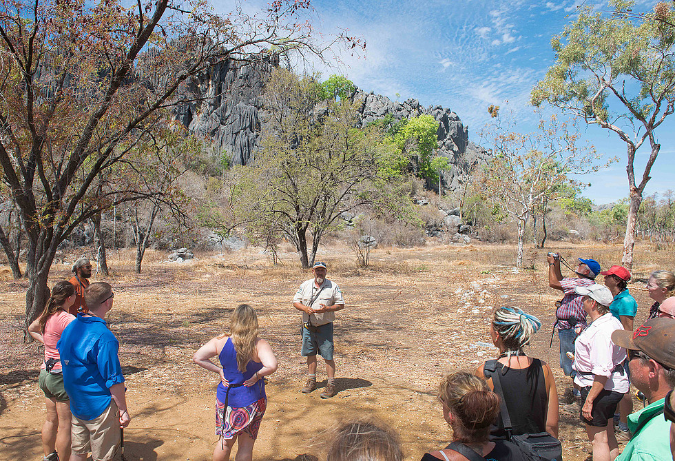 3 Day Reef, Rainforest & Outback Tour - Billy Tea Safaris