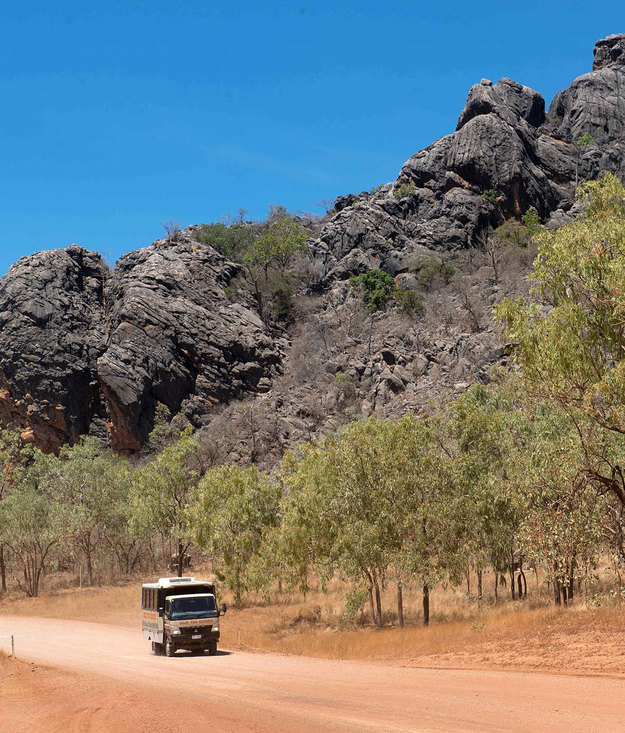 Daintree Rainforest Tours & Outback Tours - Billy Tea Safaris